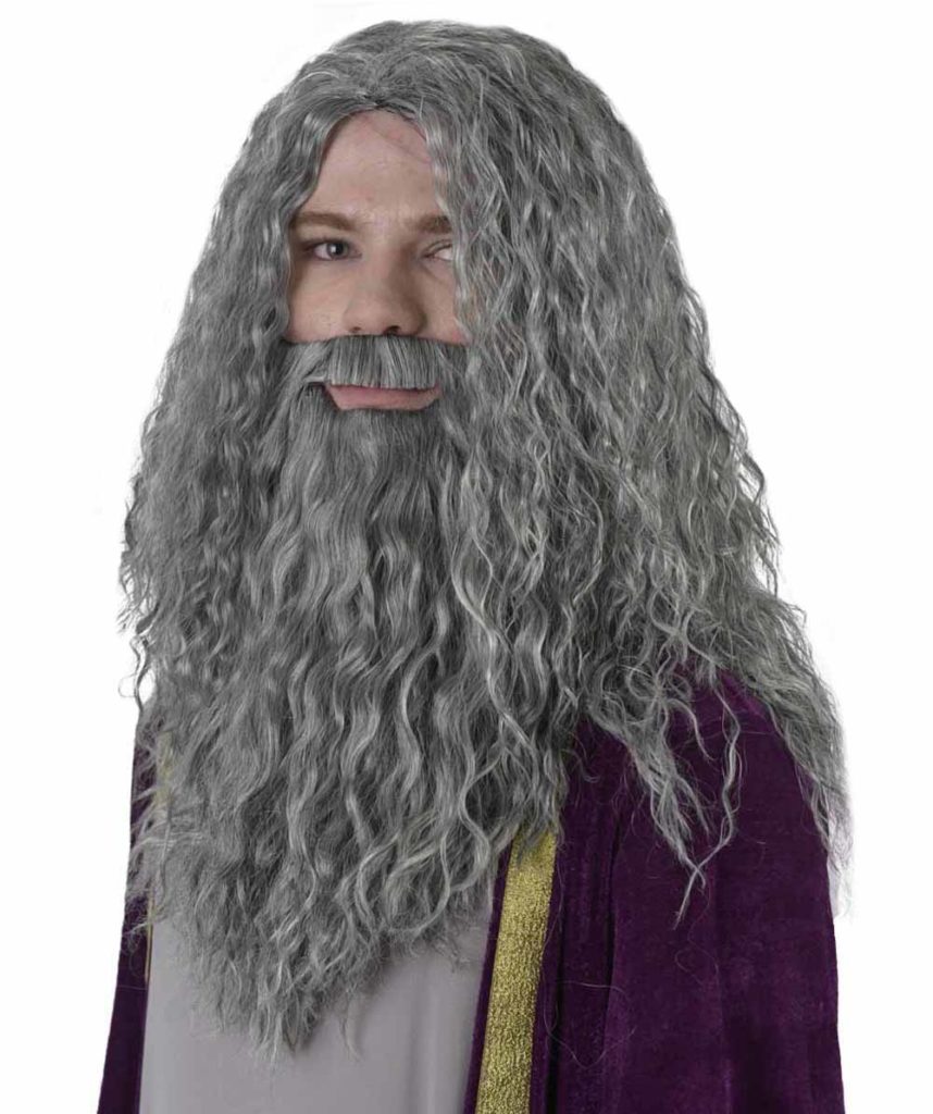 Wizard Wig & Beard Set at Wholesale & Dropship | Goods By BC